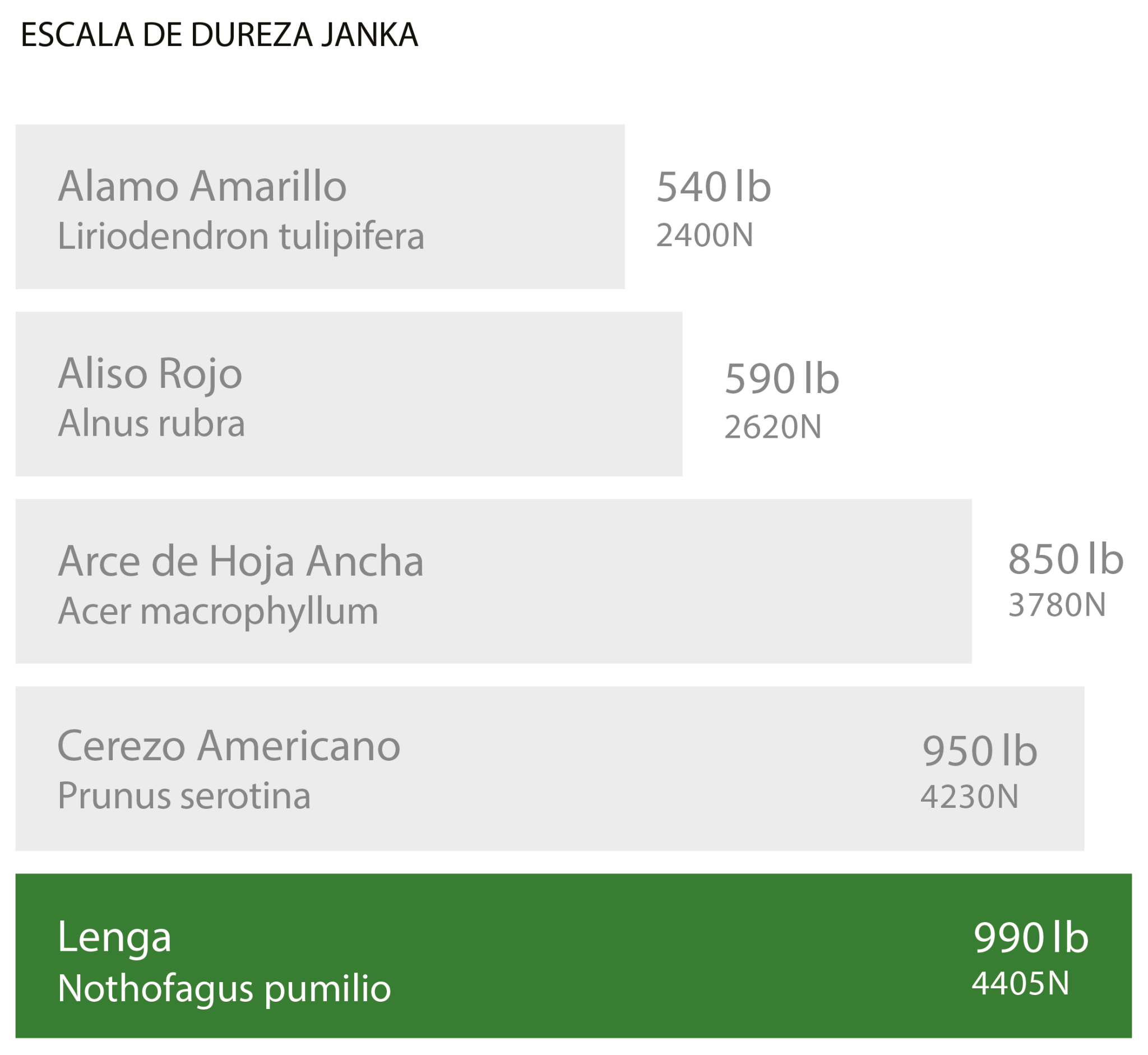 Lenga - Lenga Patagonia S.A.