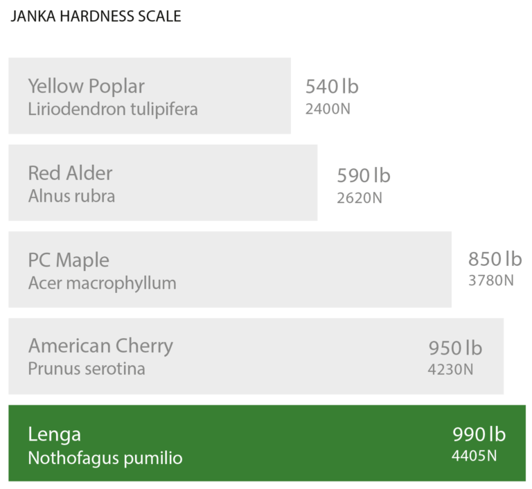Lenga - Lenga Patagonia S.A.